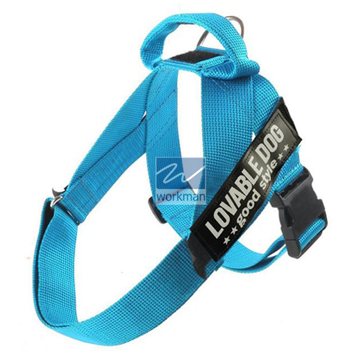 Workman International